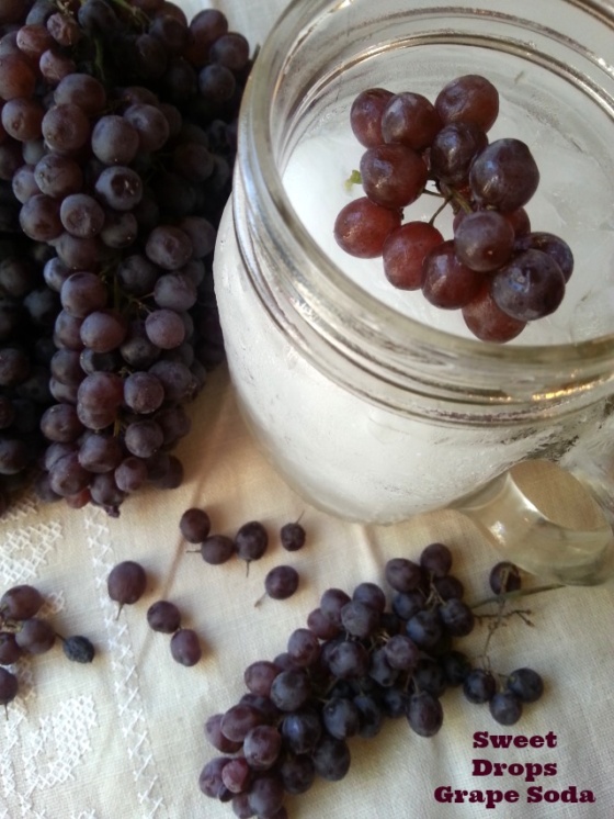 Sweet Drops Grape Soda - Adriana's Best Recipes