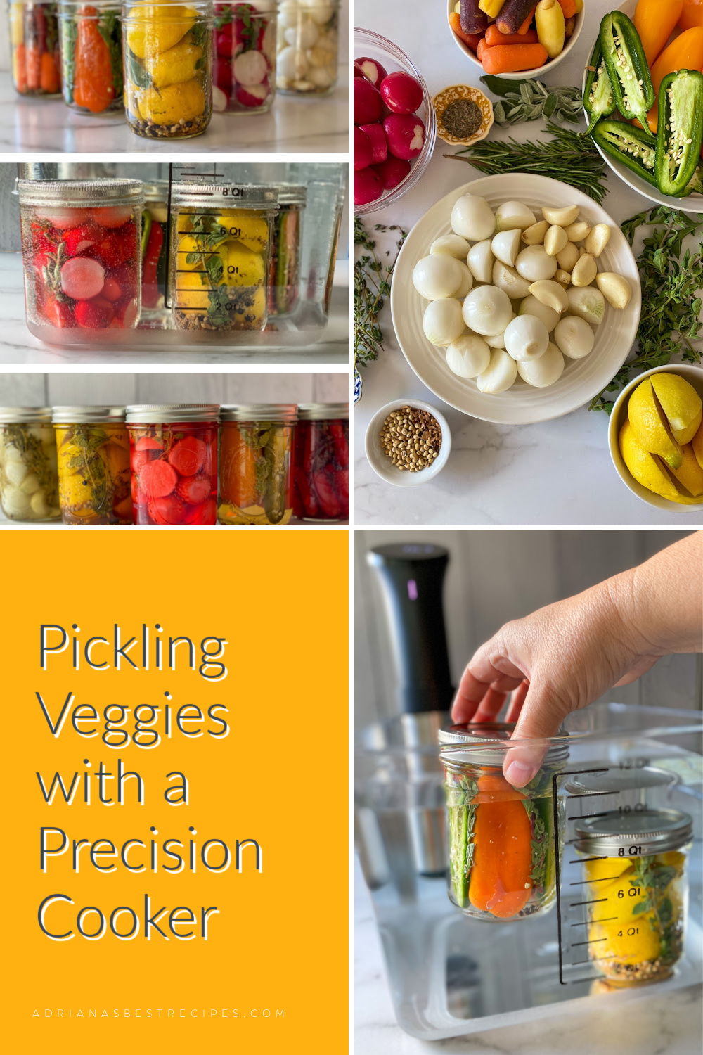 Pickling Veggies with a Precision Cooker - Adriana's Best Recipes